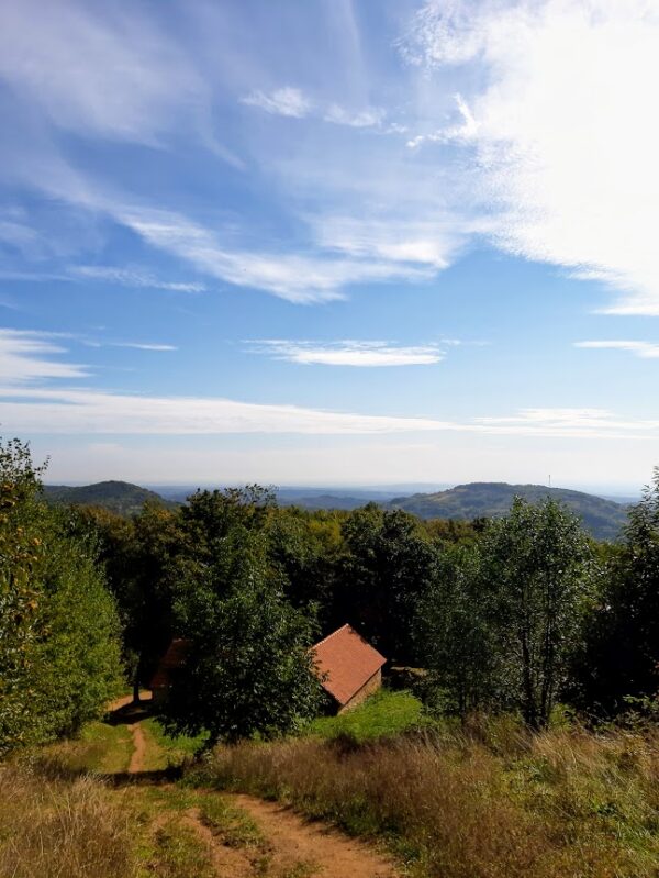 Medvednica s djecom: staza 31 – Planina Donja – PD Lipa – 100 bofora