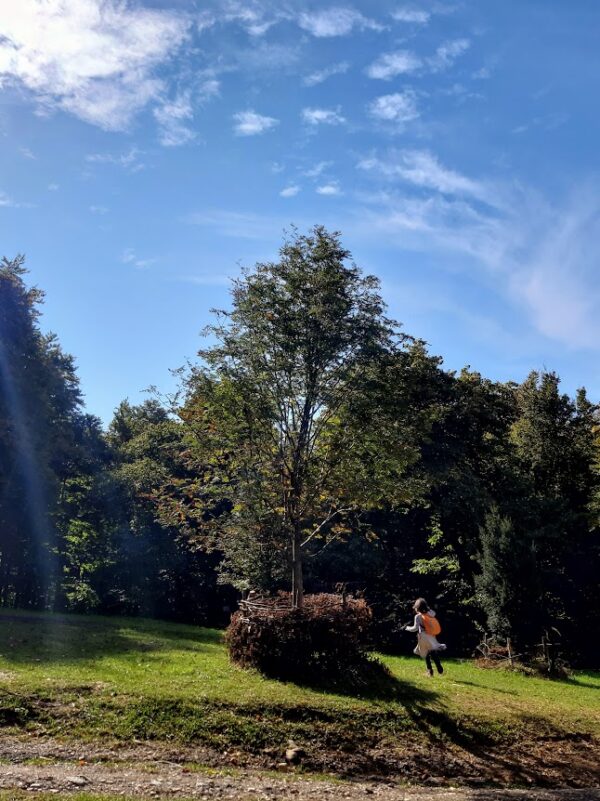 Medvednica s djecom: staza 31 – Planina Donja – PD Lipa – 100 bofora